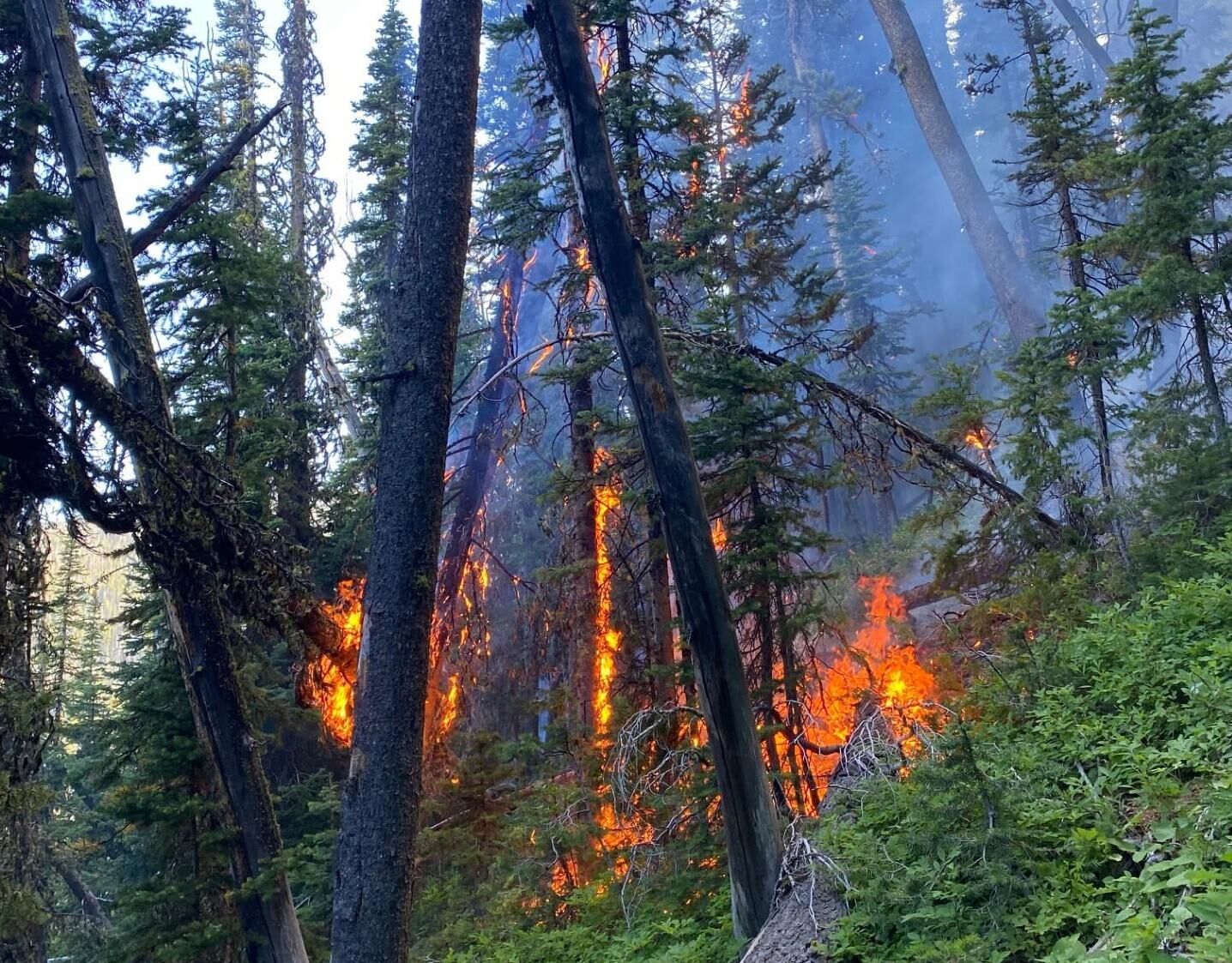 A man fighting the Bivens Creek blaze dies on fire line | News ...