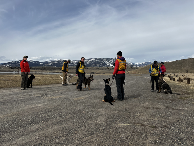 'Smart and persistent': Training for search and rescue with Western ...