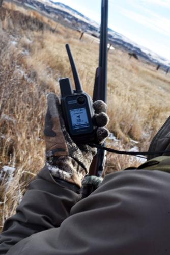 Hunting down a story: The scoop on the evolution — and looming sale ...