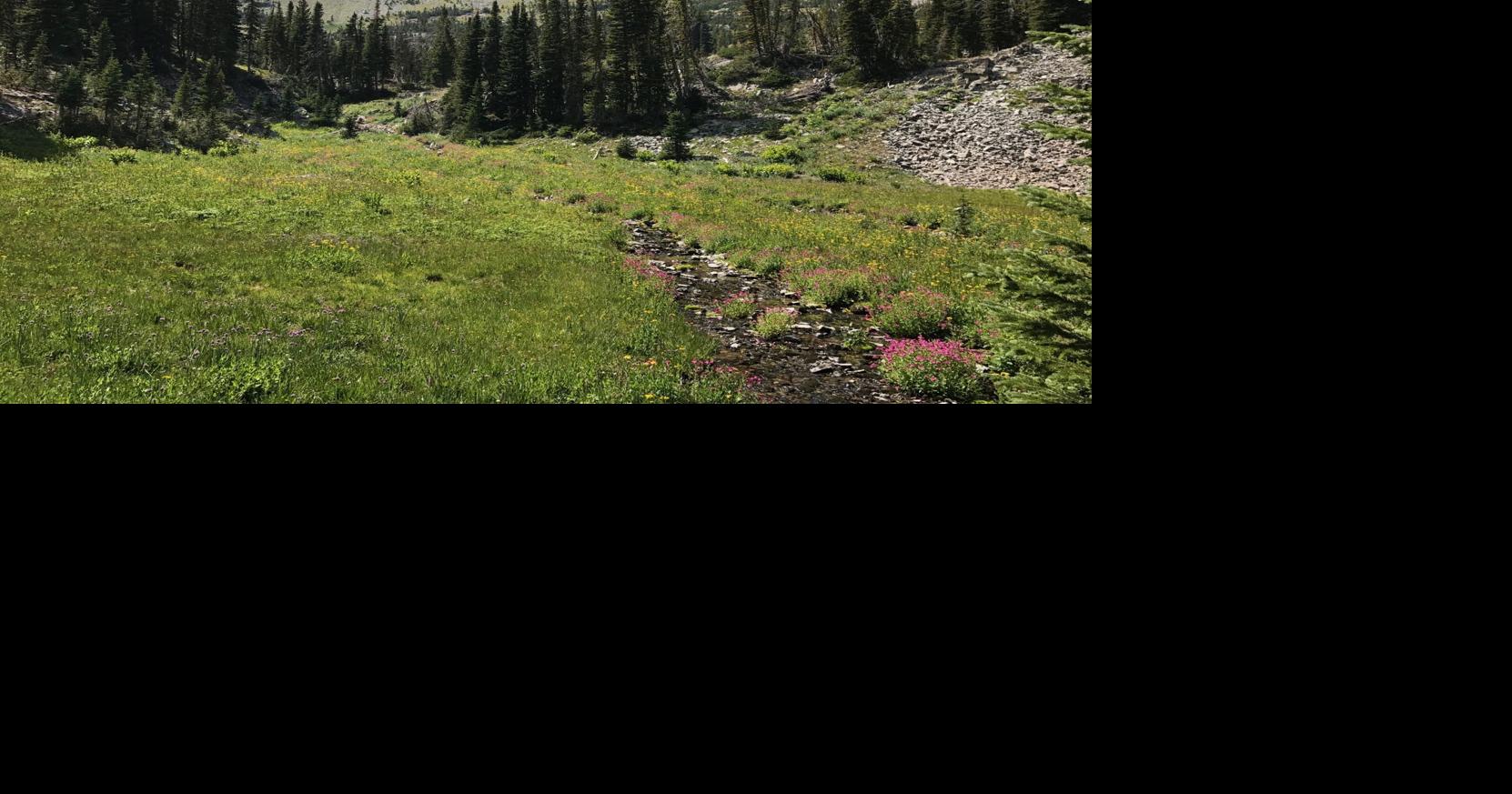 Forest Service releases trail reroute proposal on west side of Crazy ...