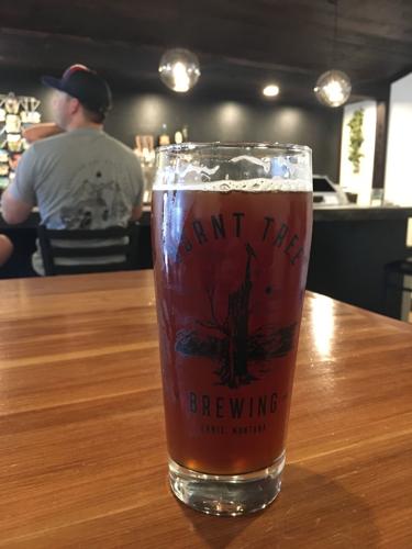 The Brew: Burnt Tree Brewing’s Pub Crawl English Pub Ale | Bozeman ...