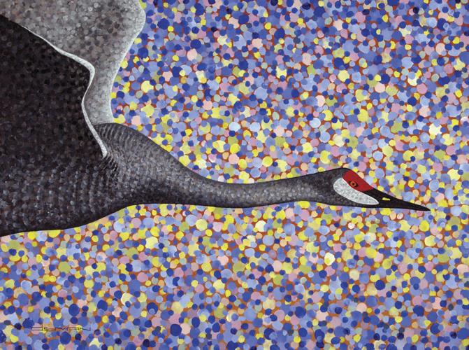 Steve Osman and sharing the art of conservation | Ruckus ...