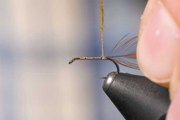 Fly tier shares proven dry fly patterns for Mother’s Day caddis hatch | Sports ...