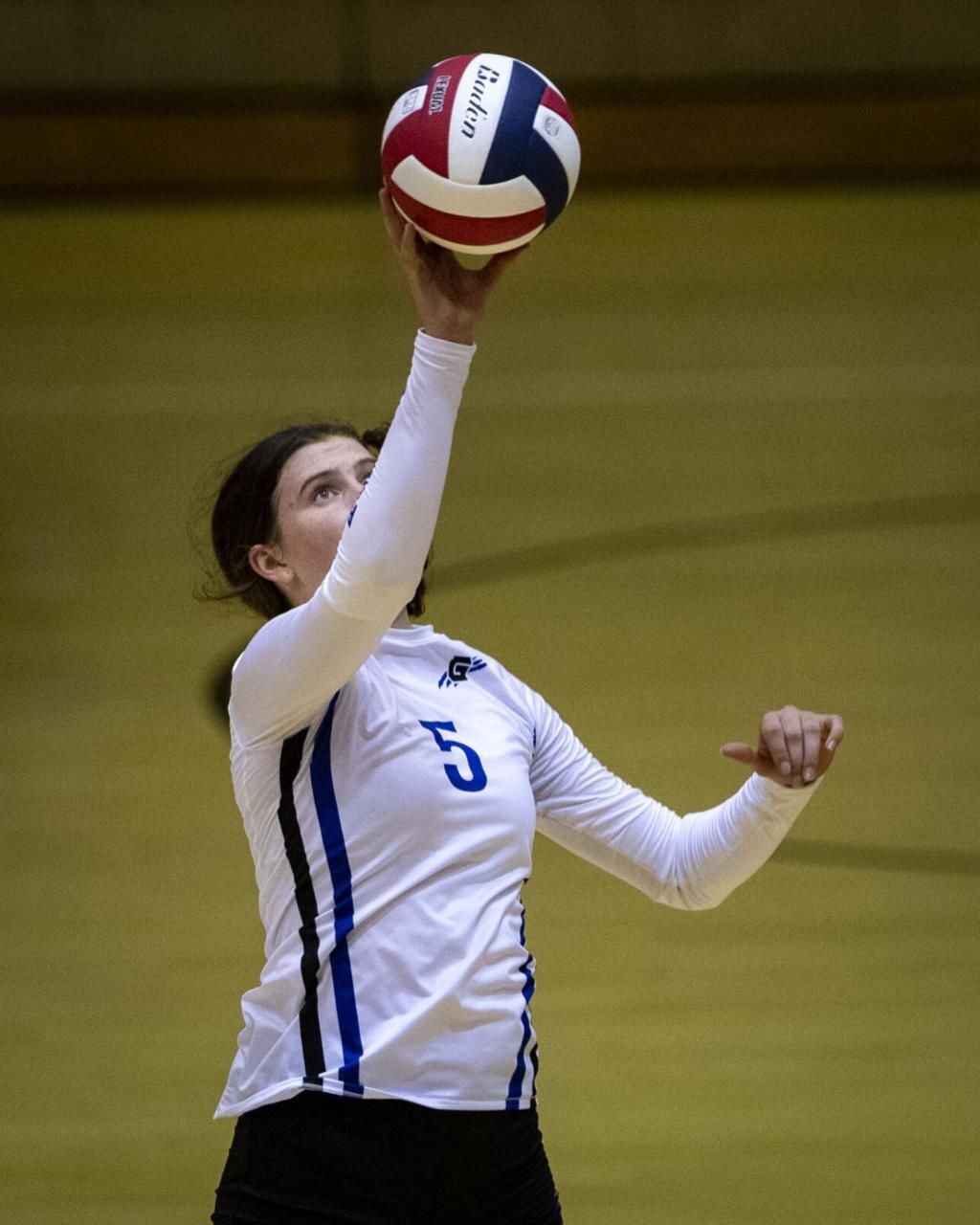 After quarantines, Raptors volleyball thankful to play again | Gallatin ...