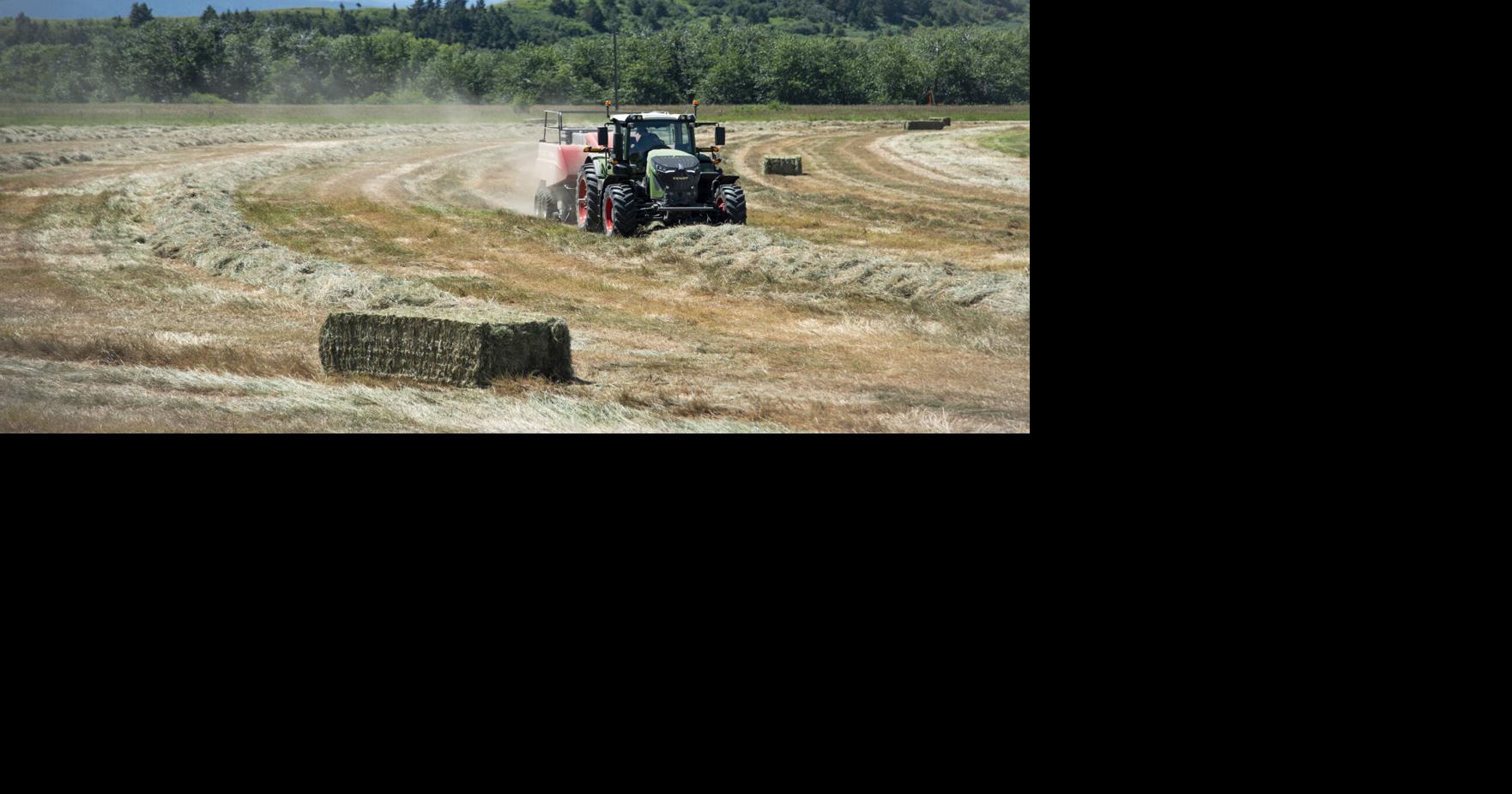 Bozeman to experience possible record-breaking temps later this week ...