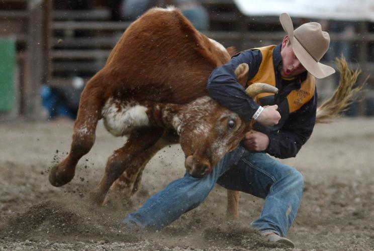 Snowy conditions hardly slow down Montana State's rodeo team during ...