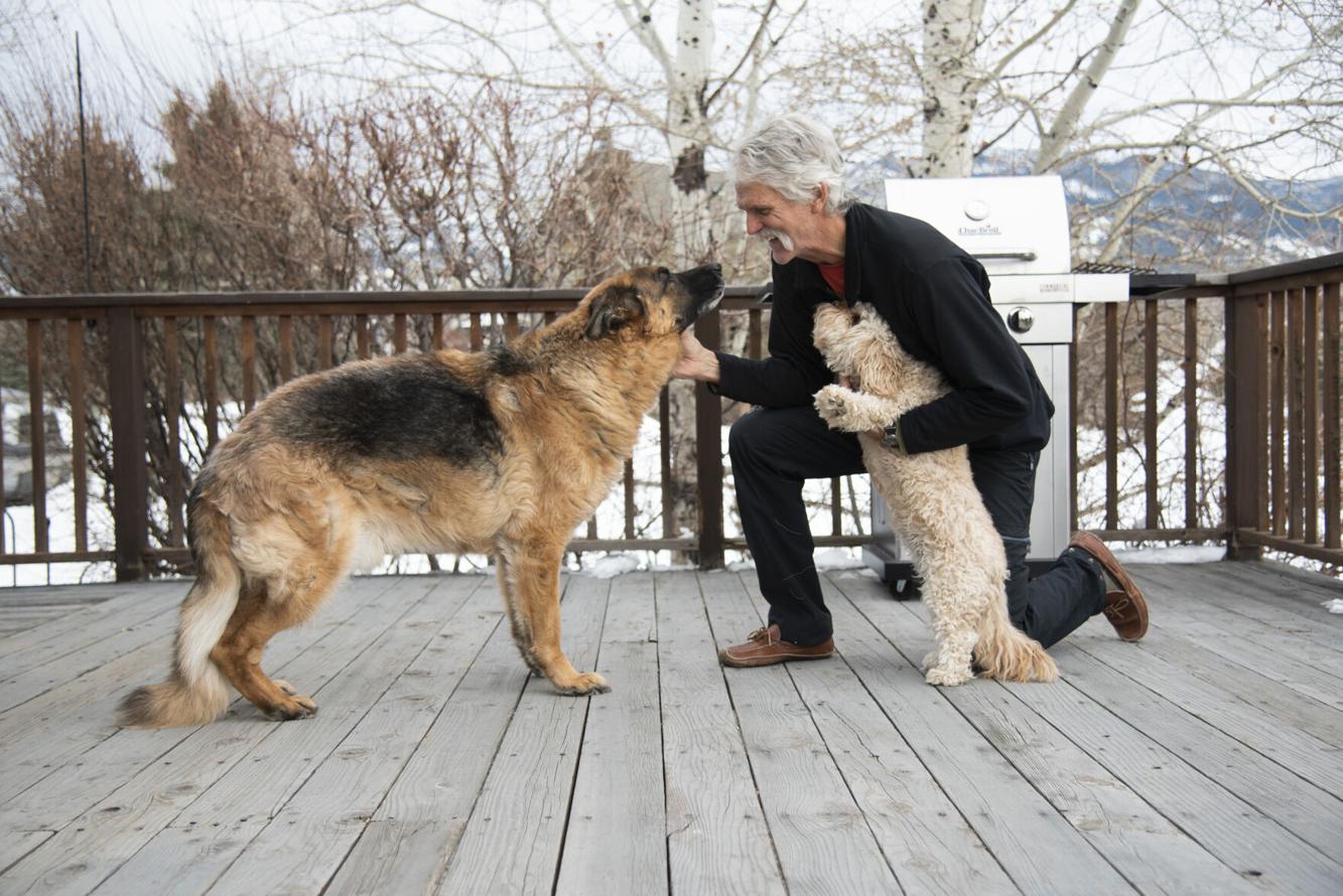 'Honest, hardworking, humble': Yellowstone National Park's lead wolf ...
