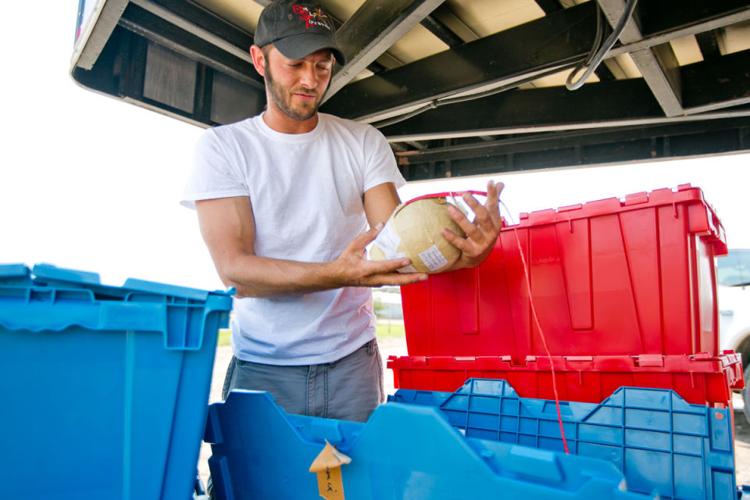 Pyrotechnic glory | News | bozemandailychronicle.com