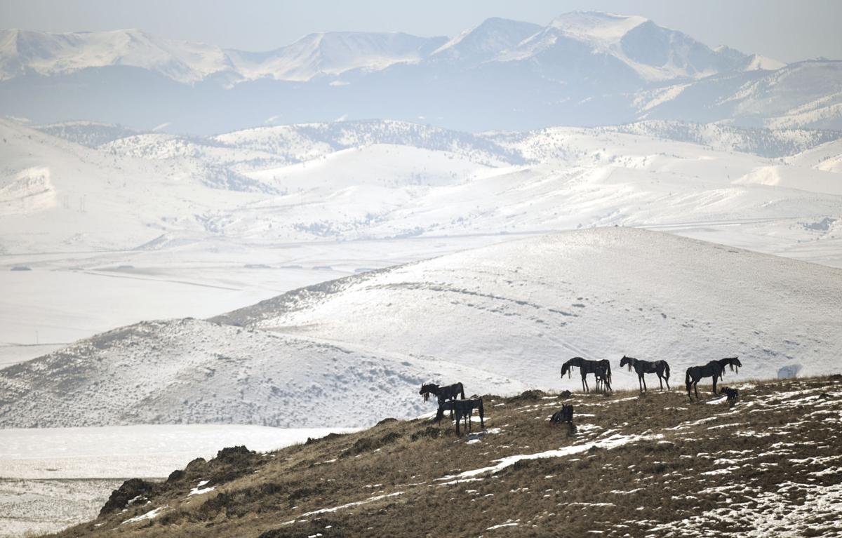 Artist Jim Dolan reflects on ‘Bleu Horses,’ 10 years after the ...