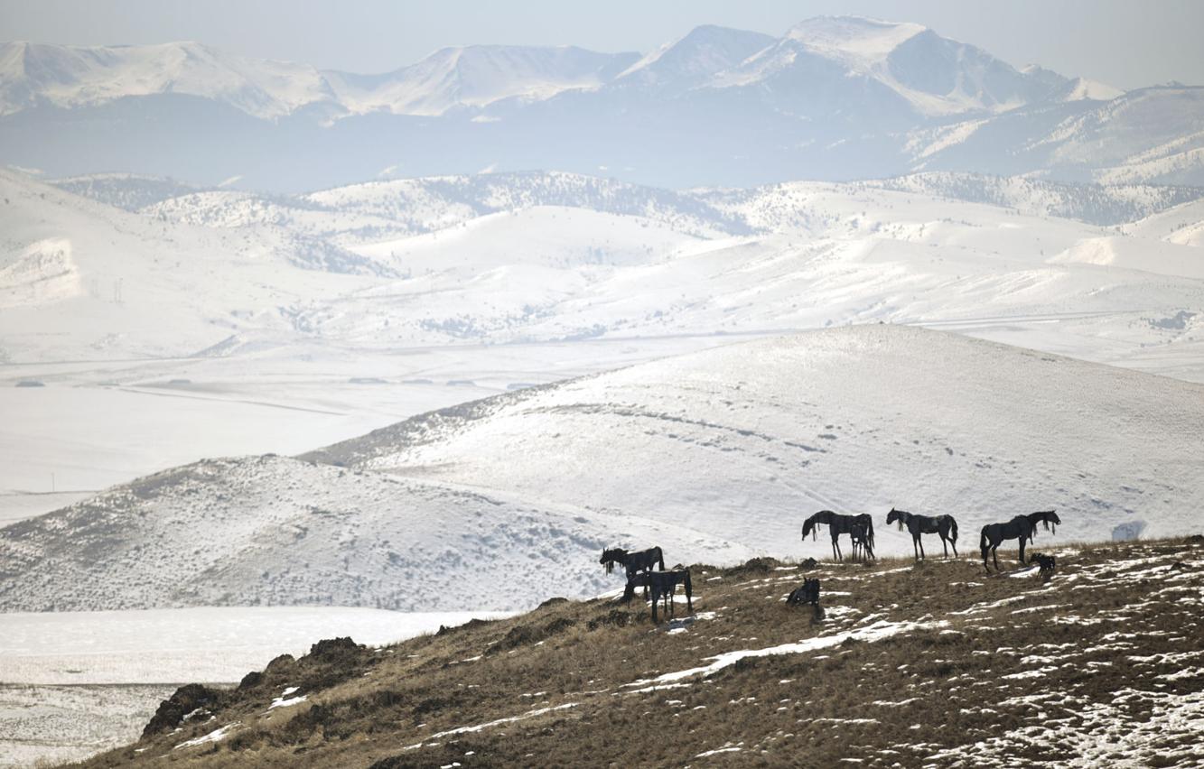 Artist Jim Dolan reflects on ‘Bleu Horses,’ 10 years after the ...