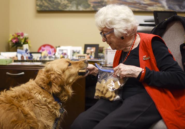 Phyllis Conner: Crazy for cats and dogs | Everyday People ...