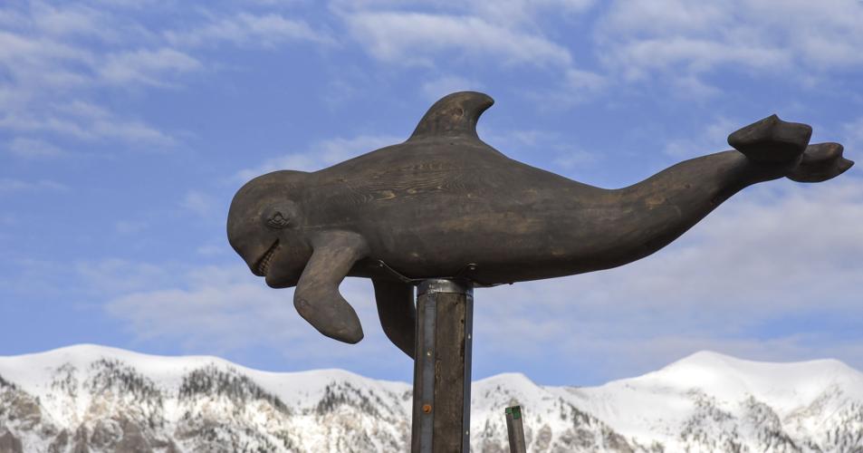 A whale tale: 'Mythical' Bridger ski guardian returns home | News ...