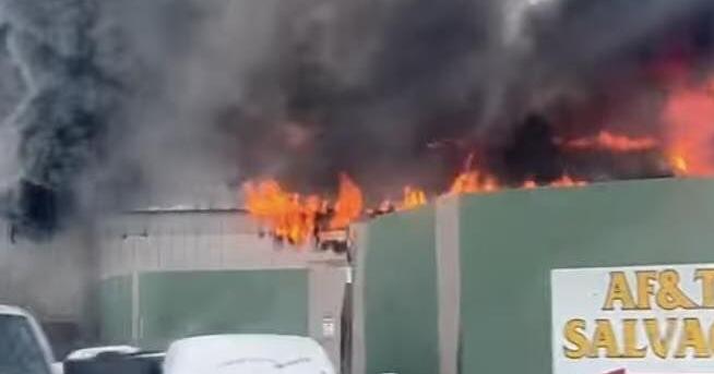 auto parts business burns down in Belgrade after fire | News ...