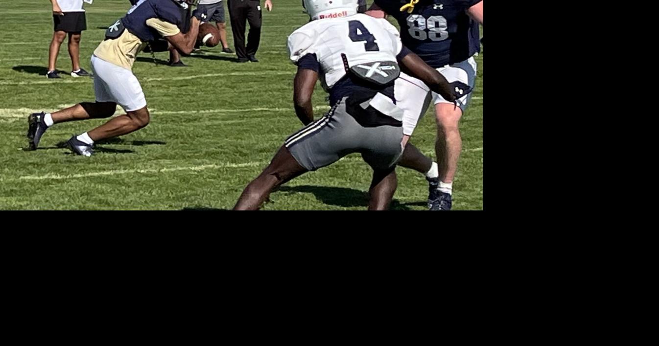 Ryan King welcomes 'change of scenery' at Montana State | Game ...