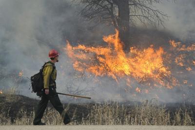 Experts: Mass USFS layoffs will impact Montana outdoors | News ...