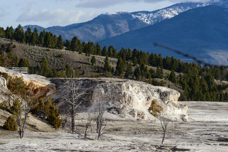 Yellowstone visitation down again in September | Yellowstone National ...