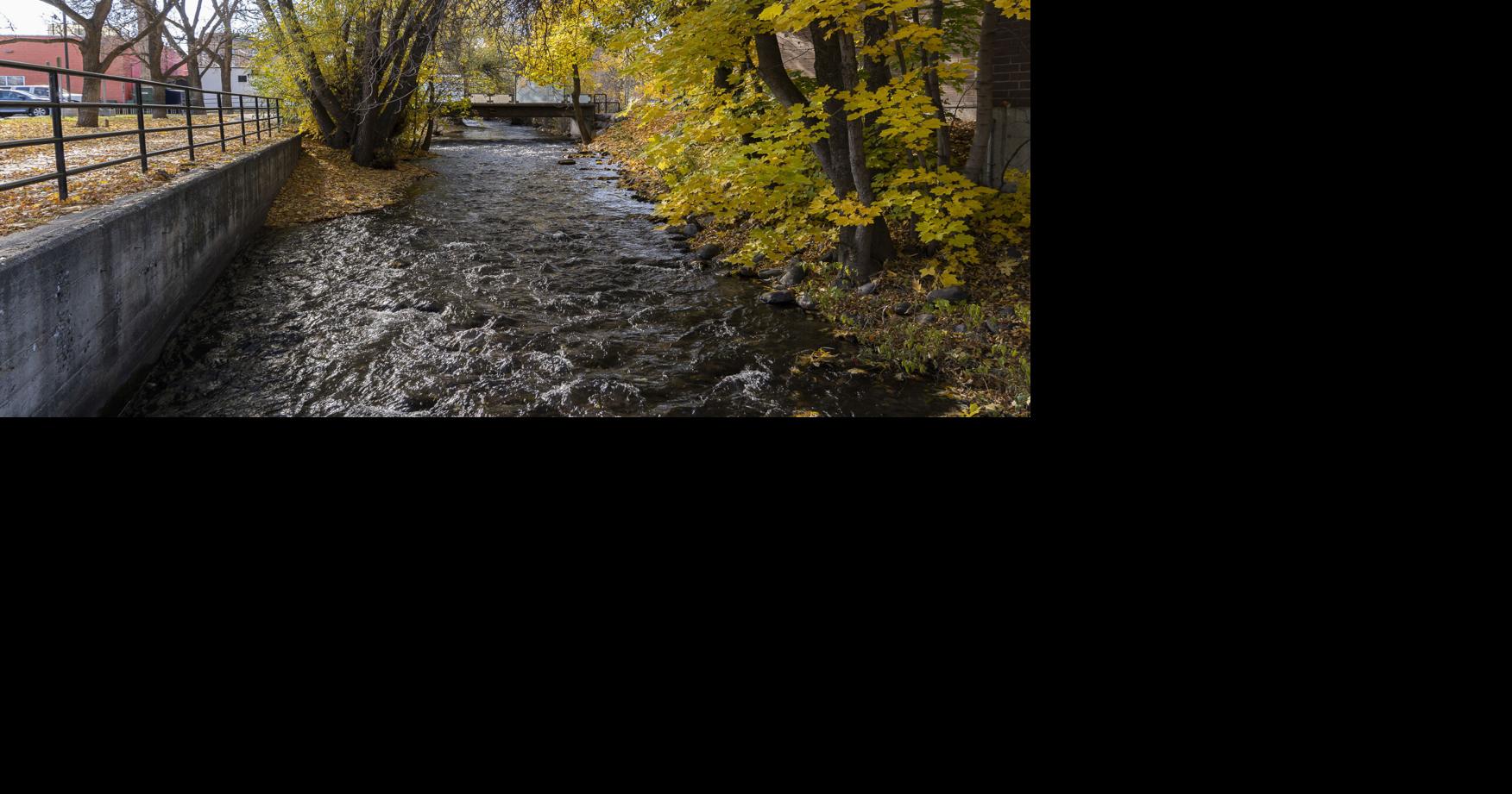 'Listening to the creek': City, local artists taking big swing at ...