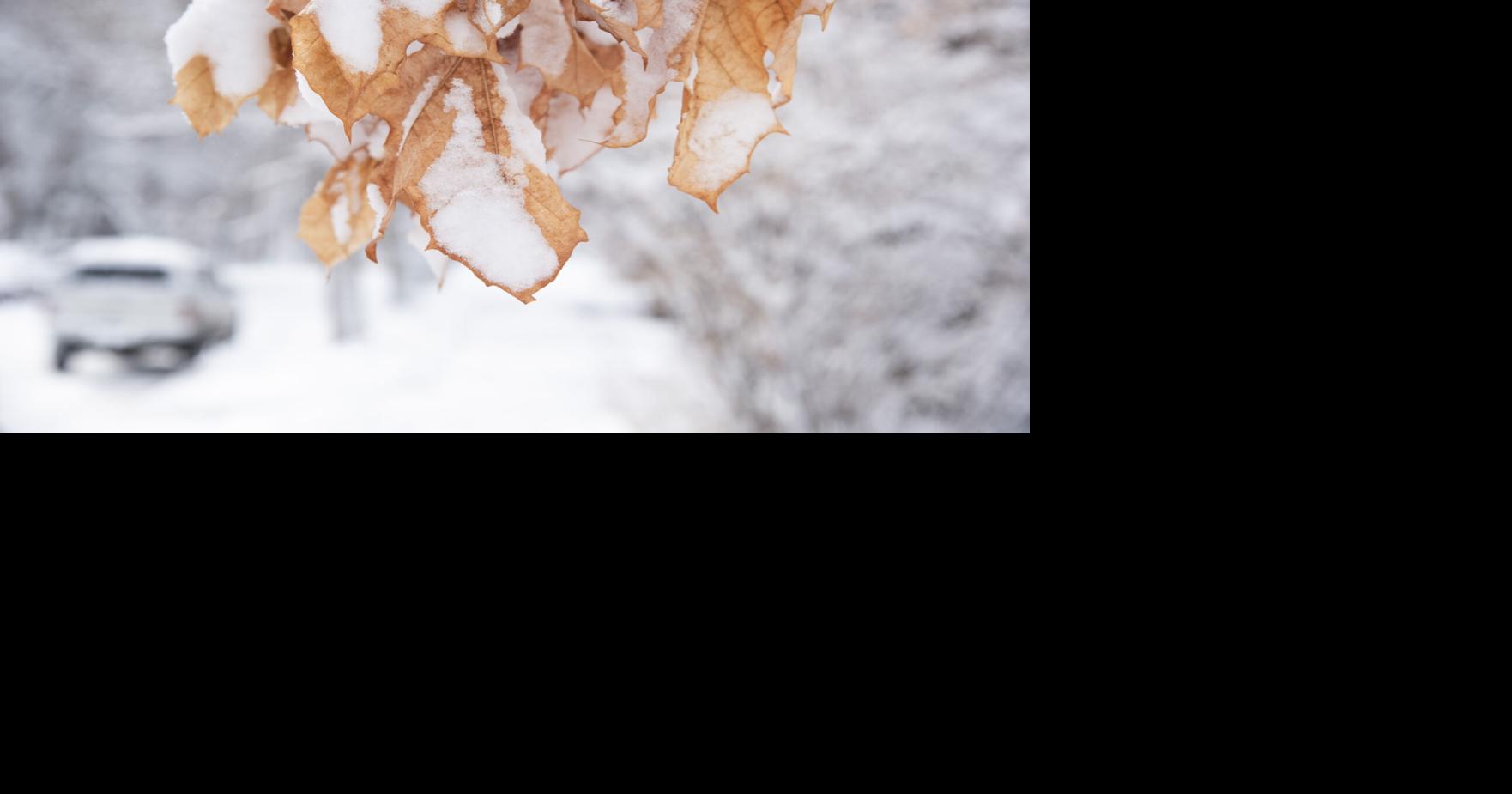 Windy winter weather set to come through Bozeman area | Weather ...