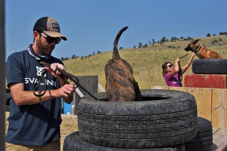 From Nairobi to Livingston: How Svalinn dogs are redefining personal ...