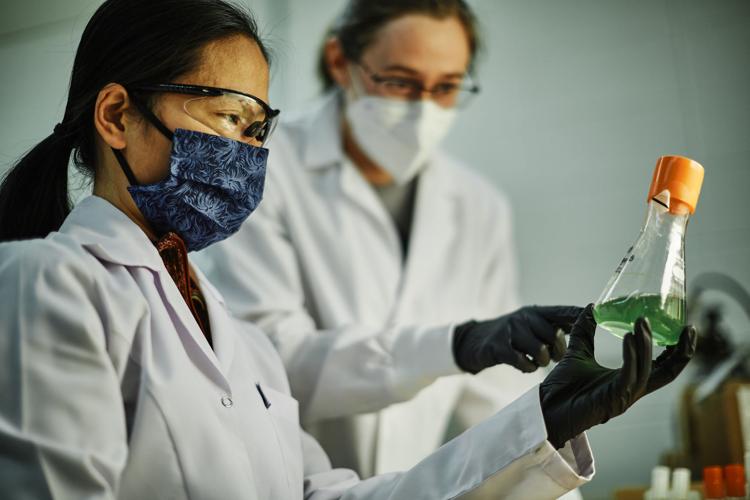 Montana State University receives millions to study algae biomaterials ...