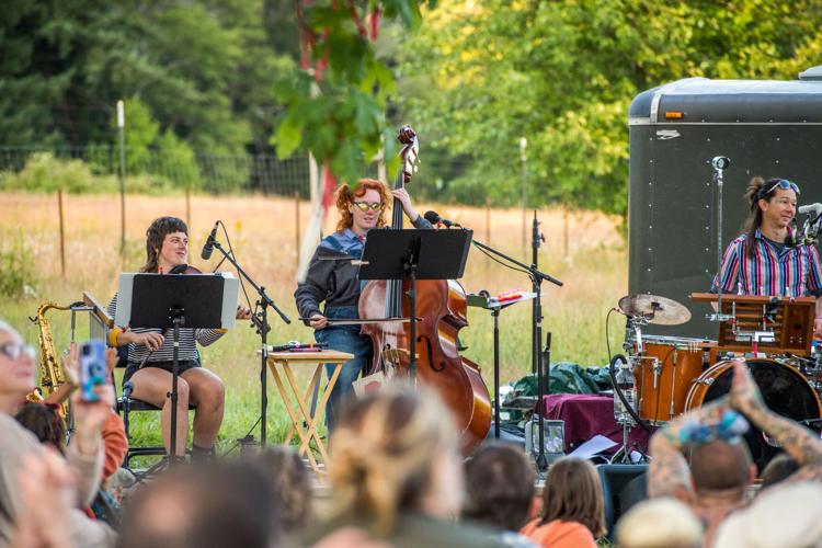 'Dreamy and mythological': String and Shadow performance takes giant ...