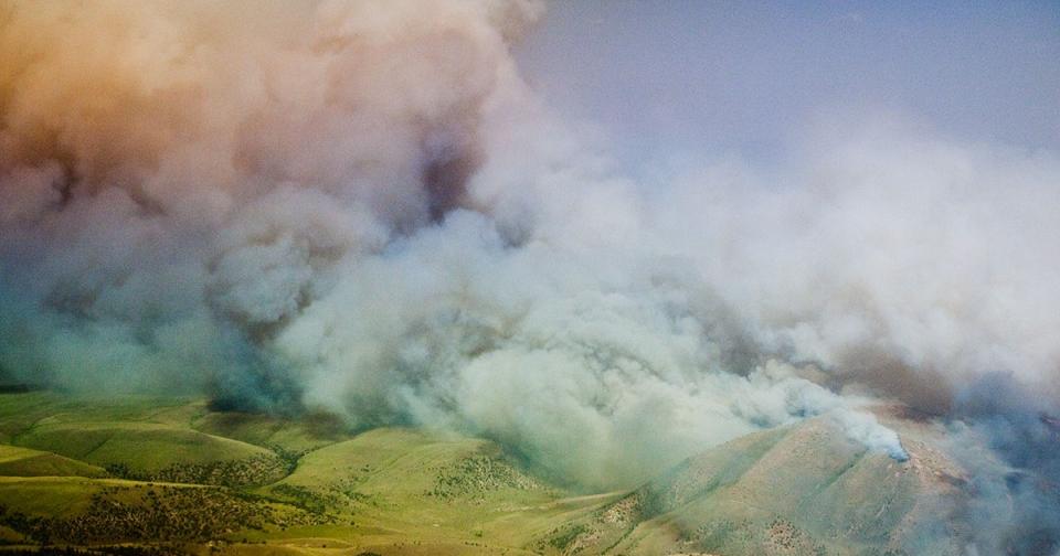 One home destroyed as Bear Trap fire grows to 3,000 acres | Environment ...