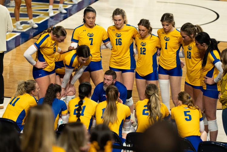 Montana State volleyball qualifies for Big Sky Tournament with sweep of ...