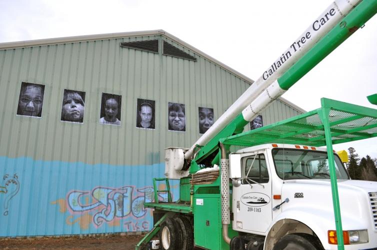 inside out tree surgeons