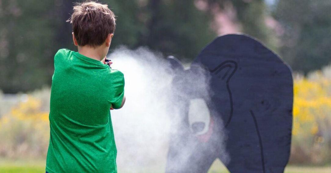 Bear spray more effective as deterrent than firearm | News ...
