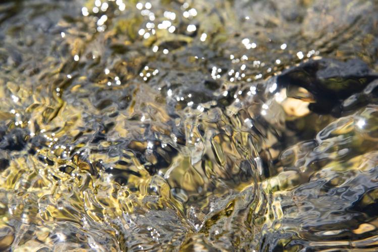 Summer water supply 'bouncing between extremes,' hydrologist says ...