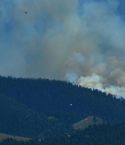Paradise Valley fire expands to 30 acres | Environment ...