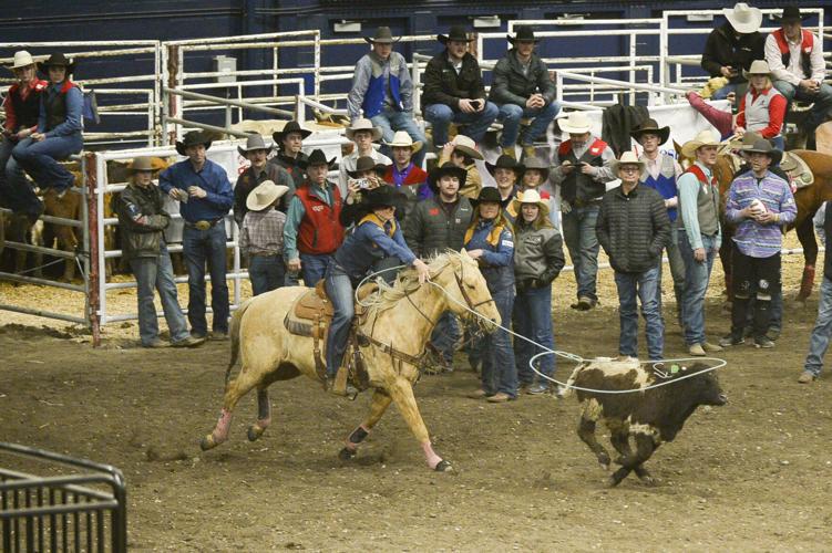 Montana State's Anderson, McGinley, Nannini among leaders after first ...