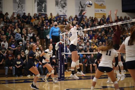 With help of overturned call, Montana beats Montana State volleyball ...