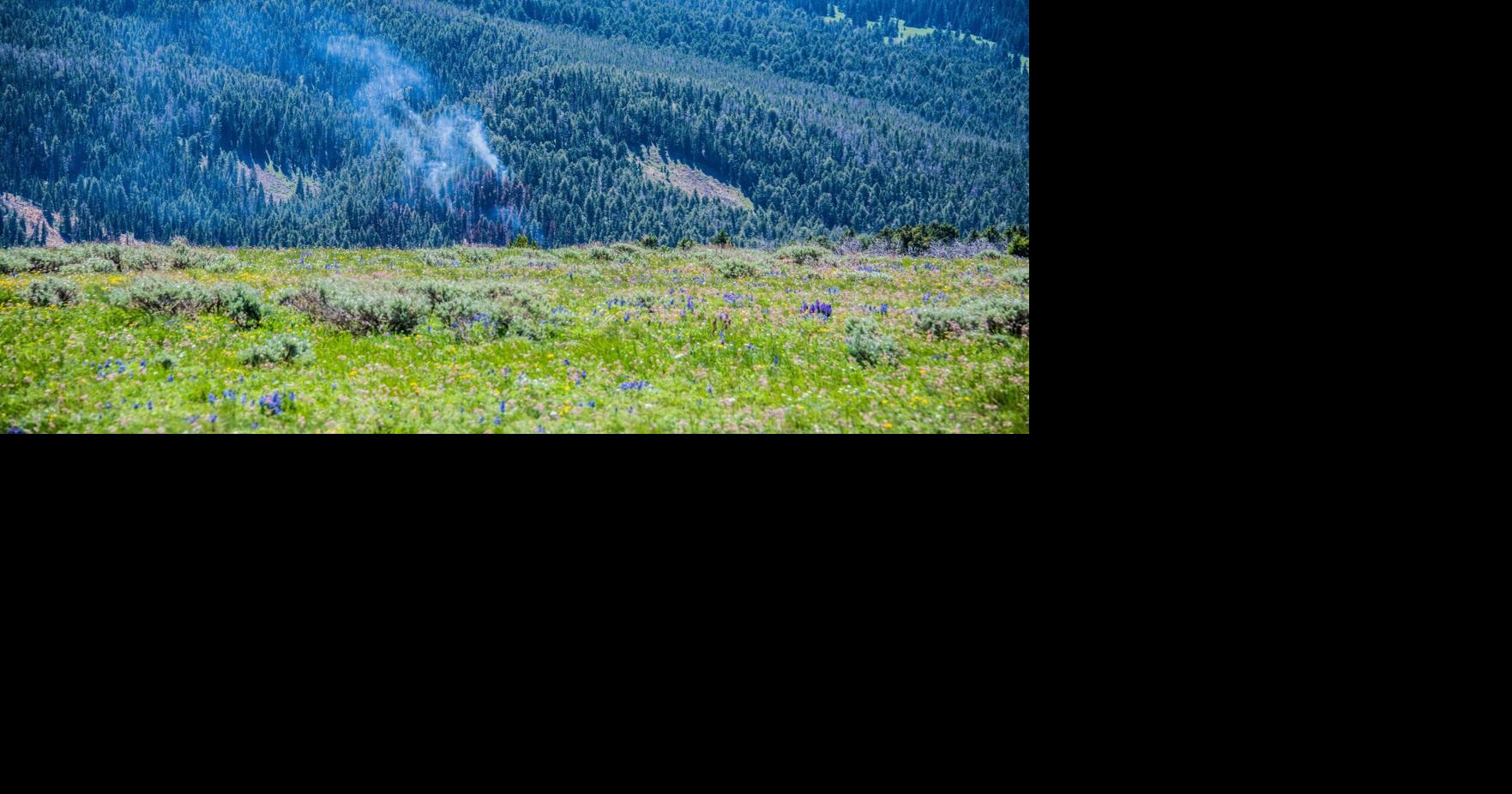 Fire in Gravelly Mountains reaches 798 acres | Wildfires ...