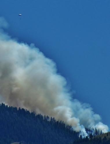 Paradise Valley fire expands to 30 acres | Environment ...