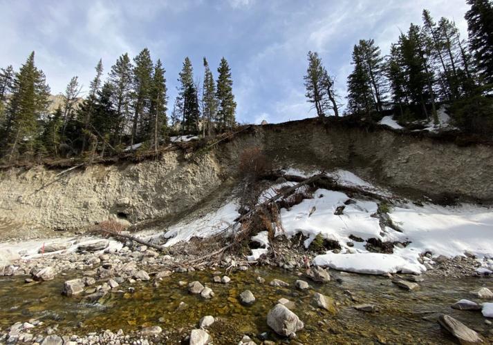 Biologist leaves MDT over Beartooth Highway project concerns | News | bozemandailychronicle.com