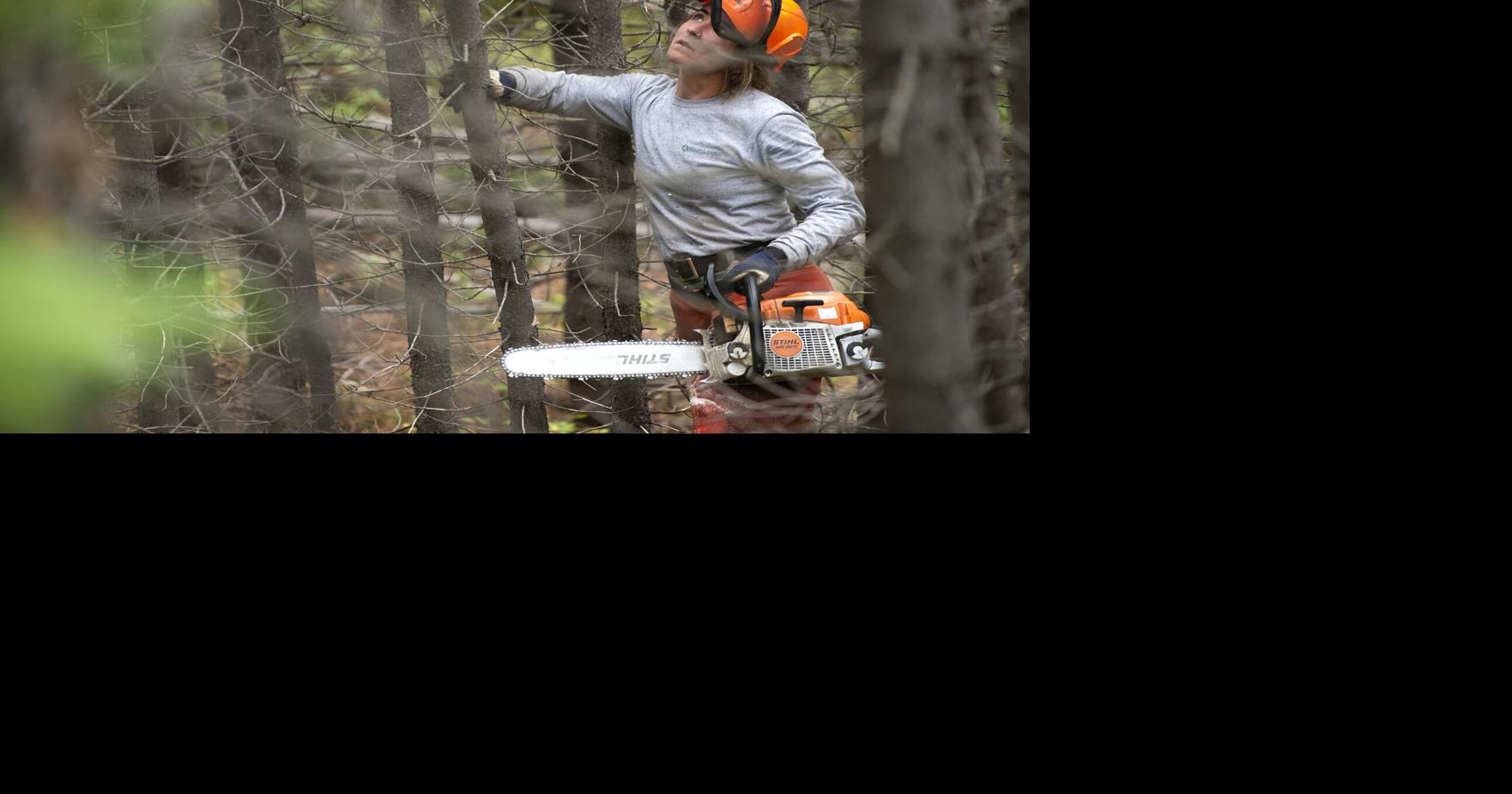 A new way: Private forestry company fills fuels management niche in ...