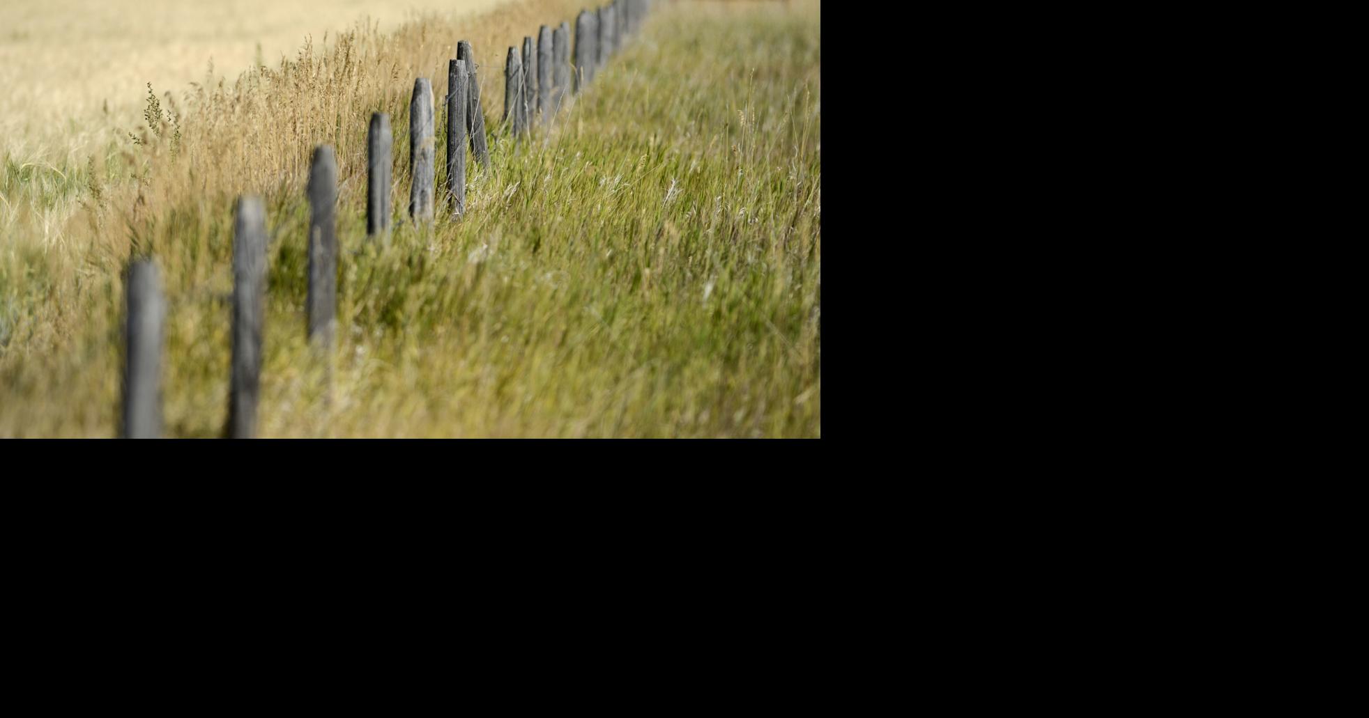 USDA still seeking responses to agriculture census | Agriculture ...