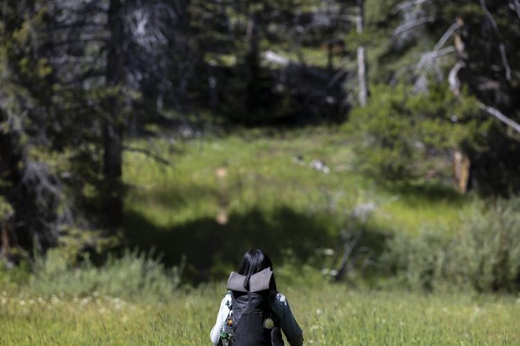 Meet the woman attempting to link the CDT and GDT | News | bozemandailychronicle.com