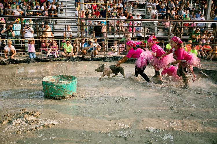 Pee Wee Pig Wrestling | Featured | bozemandailychronicle.com