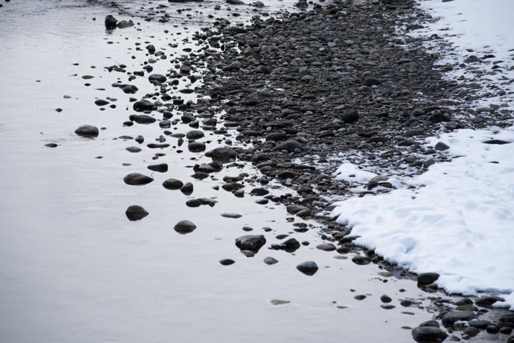 Expert: To protect trout from climate change, maintain diverse habitat ...