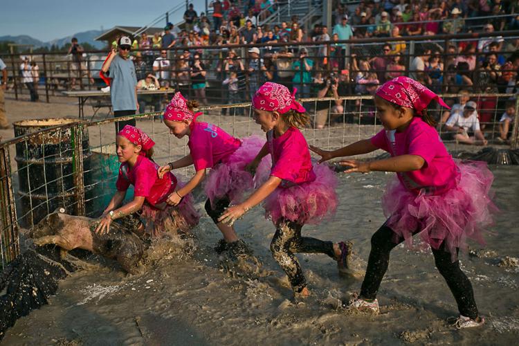 Pee Wee Pig Wrestling | Featured | bozemandailychronicle.com