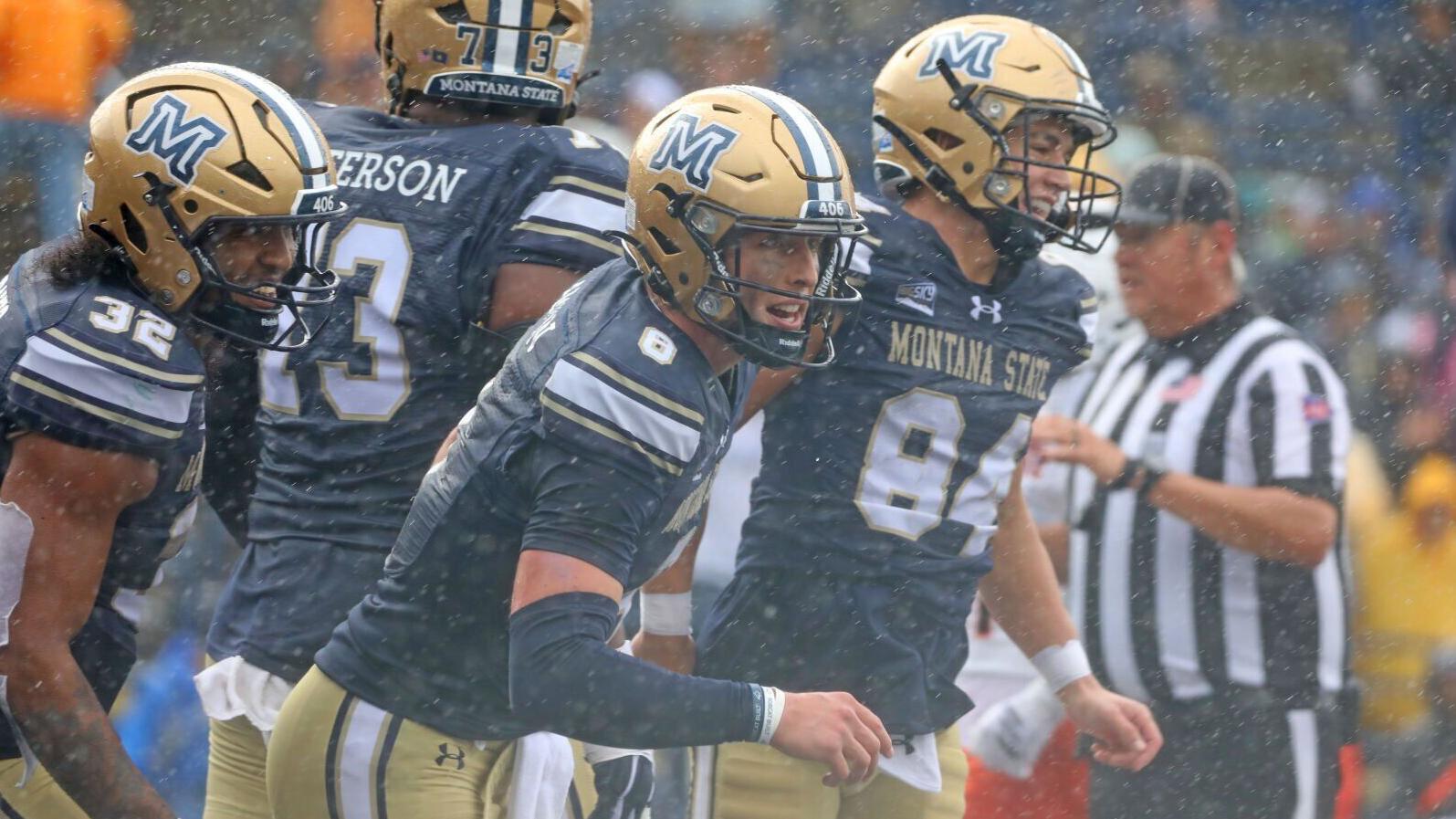 real steel touchdown evolution