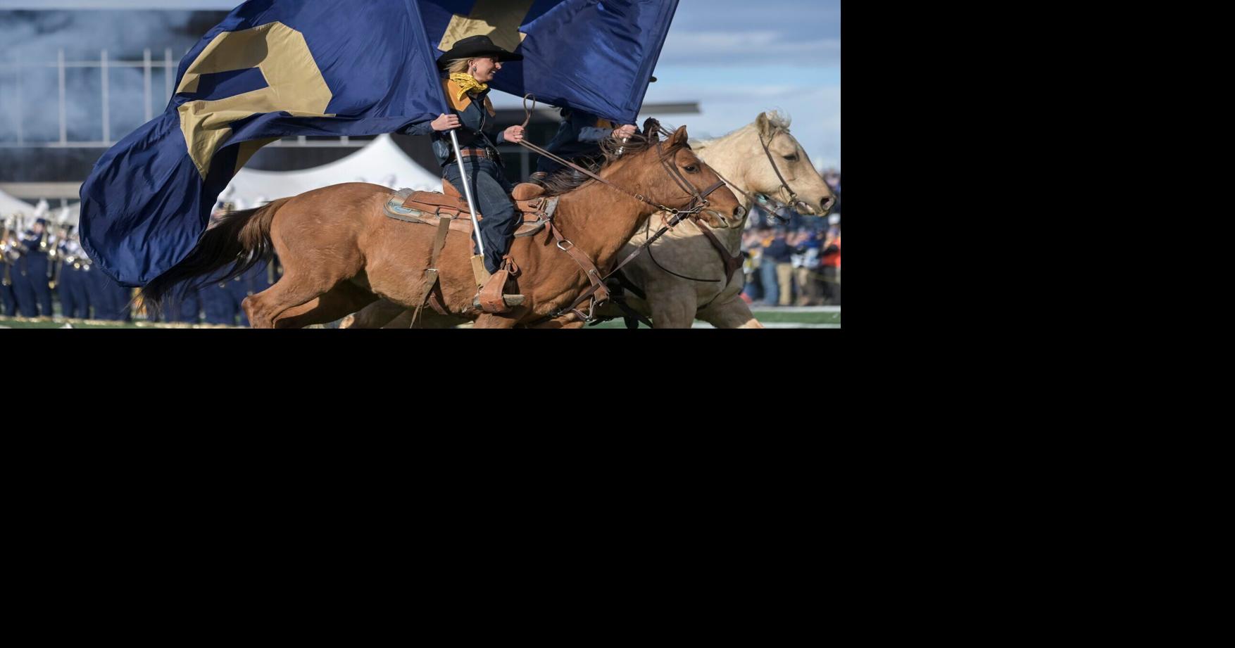 Cowboy Up!: Rodeo about to become Montana's official state sport | News ...