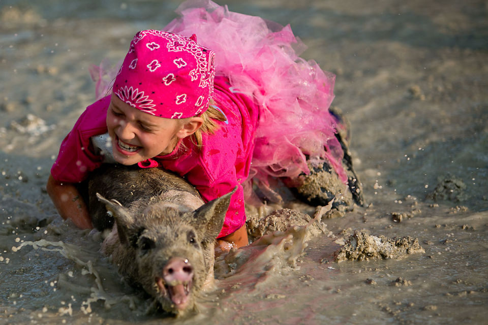 Pee Wee Pig Wrestling | Featured | bozemandailychronicle.com