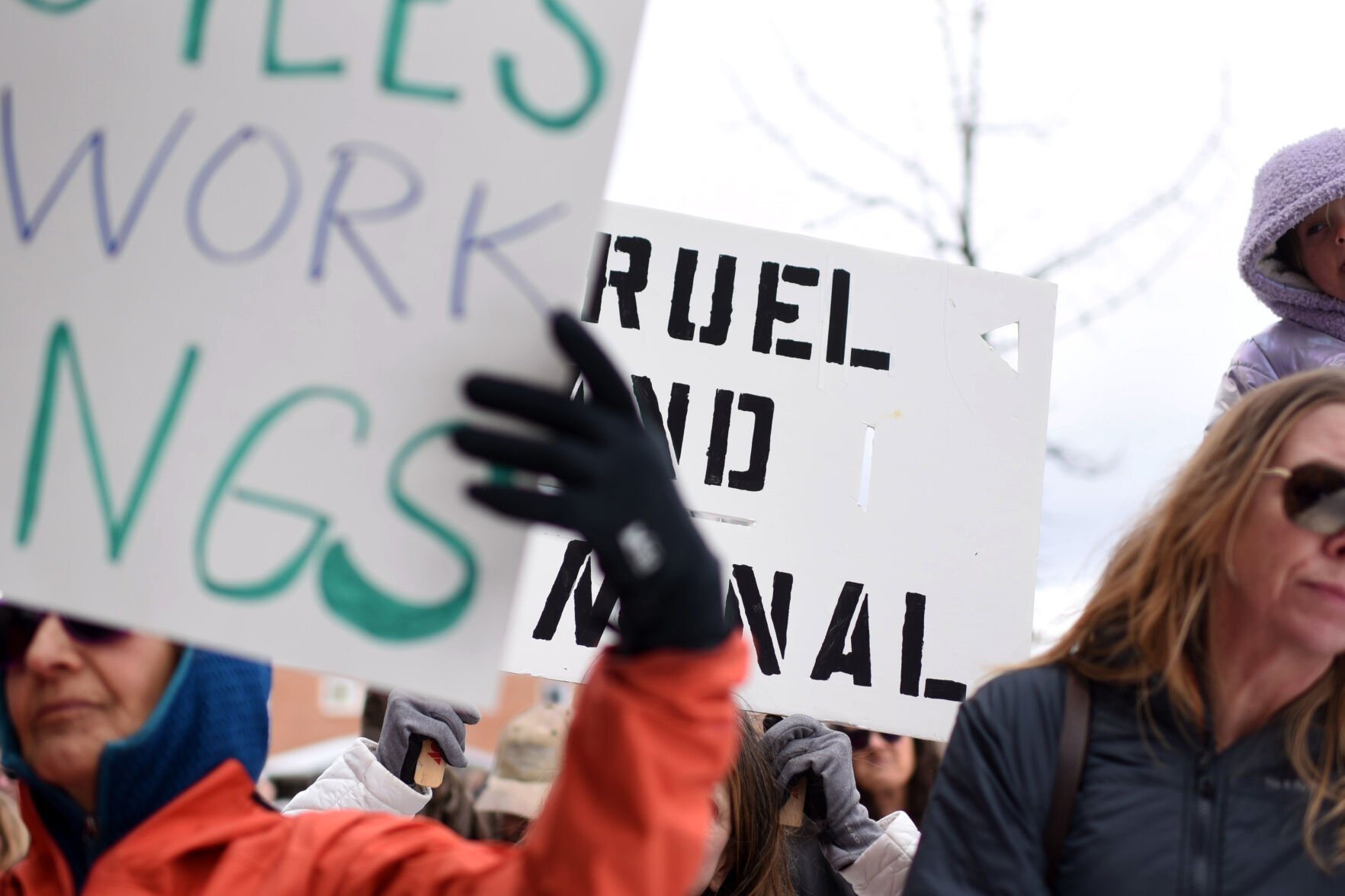 Anti-Trump rally planned for Bozeman | News | bozemandailychronicle.com