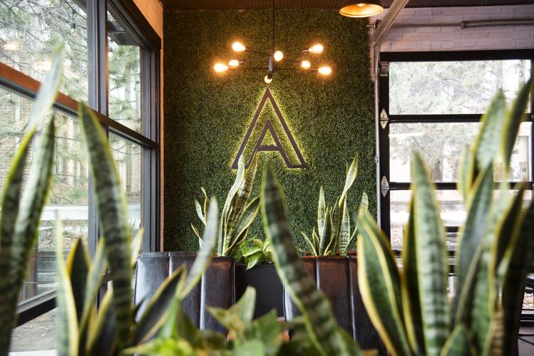 Now on tap: Après Brewing opens up off Montana State campus | Business ...