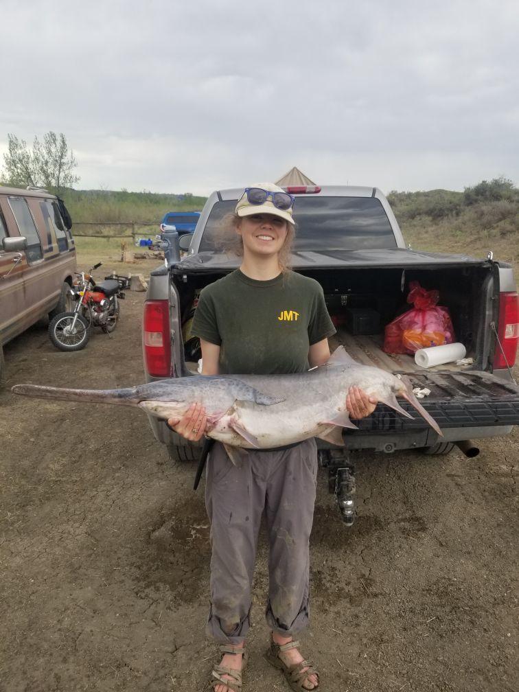 Pulling together: Finding community and paddlefish on the Upper ...
