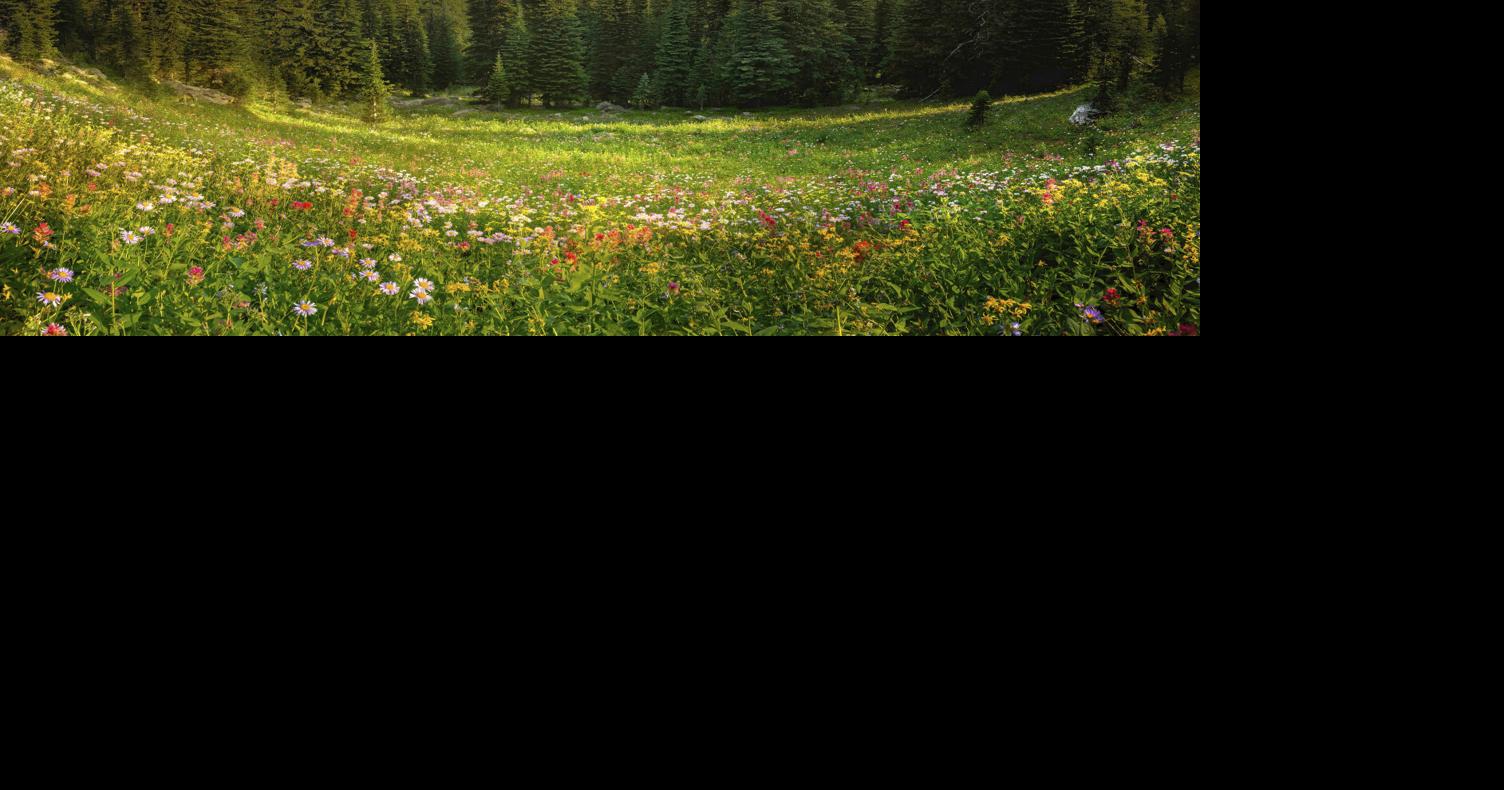 Bozeman photographer captures national award for second time in three ...