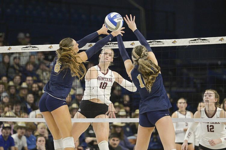 Montana State volleyball takes control of Main Line Trophy with four ...
